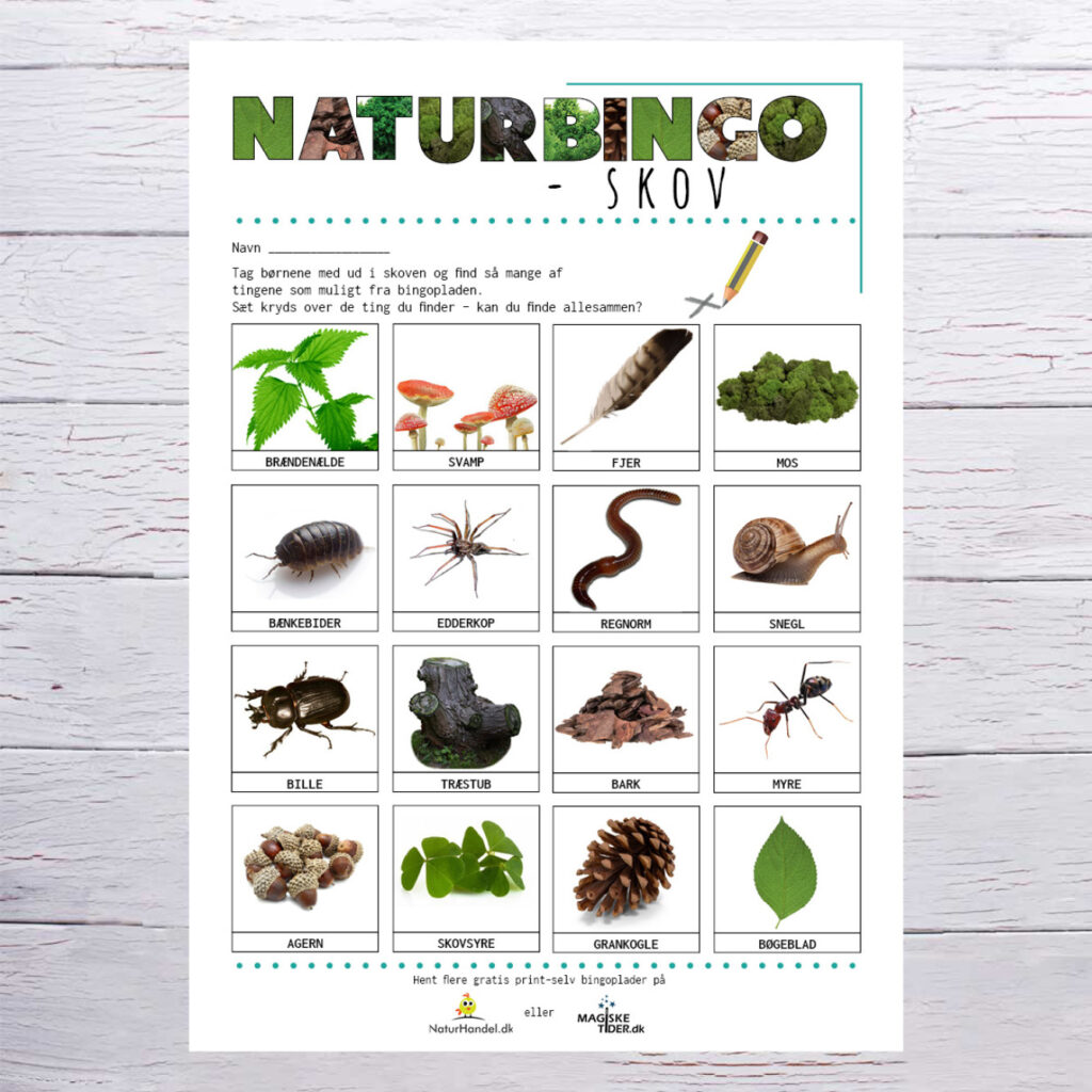 Gratis naturbingo plader i forskellig temaer ⋆ Magiske Tider
